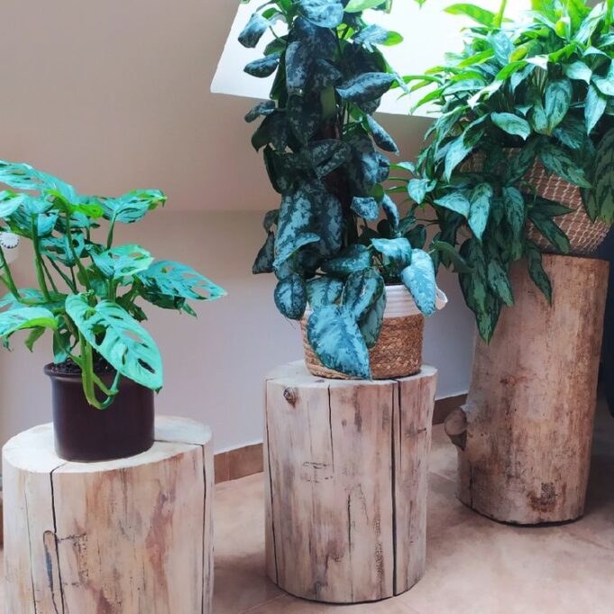 Využijte kmen stromu tímto skvělým způsobem: 20+ krásných inspirací