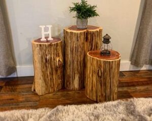 Využijte kmen stromu tímto skvělým způsobem: 20+ krásných inspirací