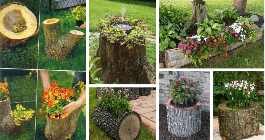 Využijte kmen stromu, jako originální květináč: 20+ super inspirací!