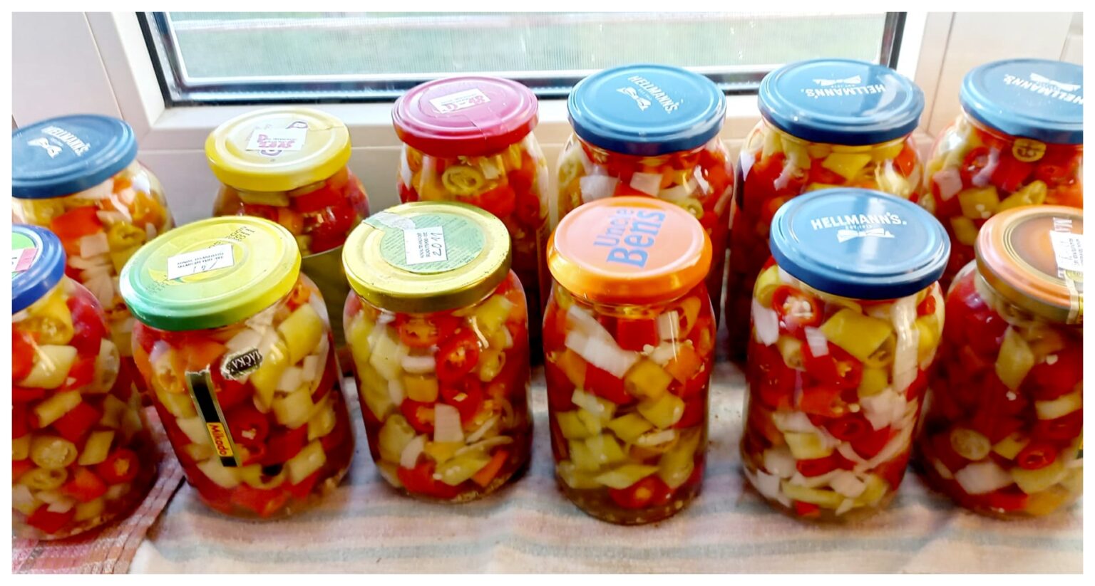 Nakládané beraní rohy v luxusním laku - Prima Inspirace