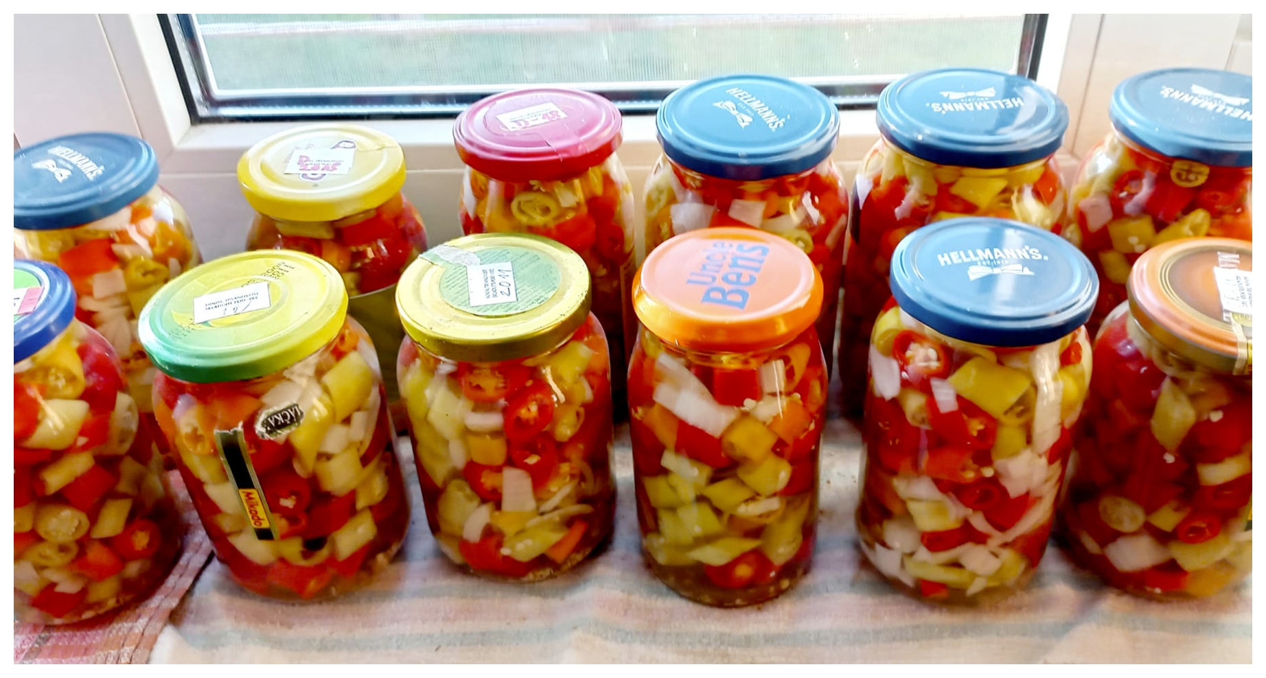 Nakládané beraní rohy v luxusním laku - Prima Inspirace