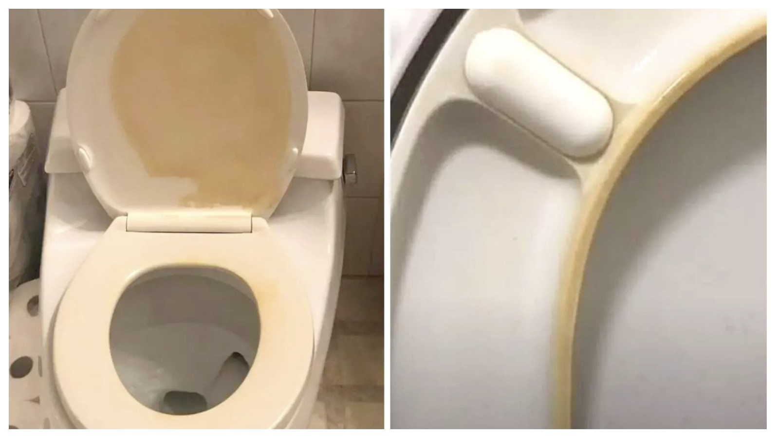 Jak vyčistit záchodové prkénko do lesku: rychlý postup + dezinfekce a ...